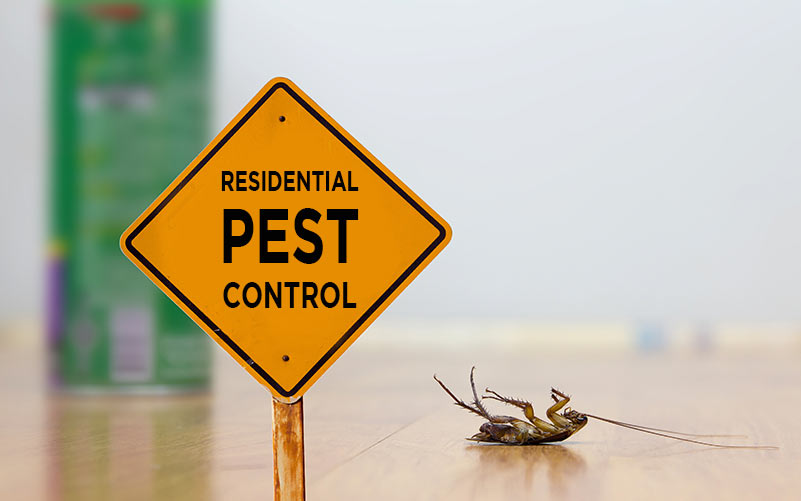 Residential Pest Control | Wichita's #1 Green Home Exterminator