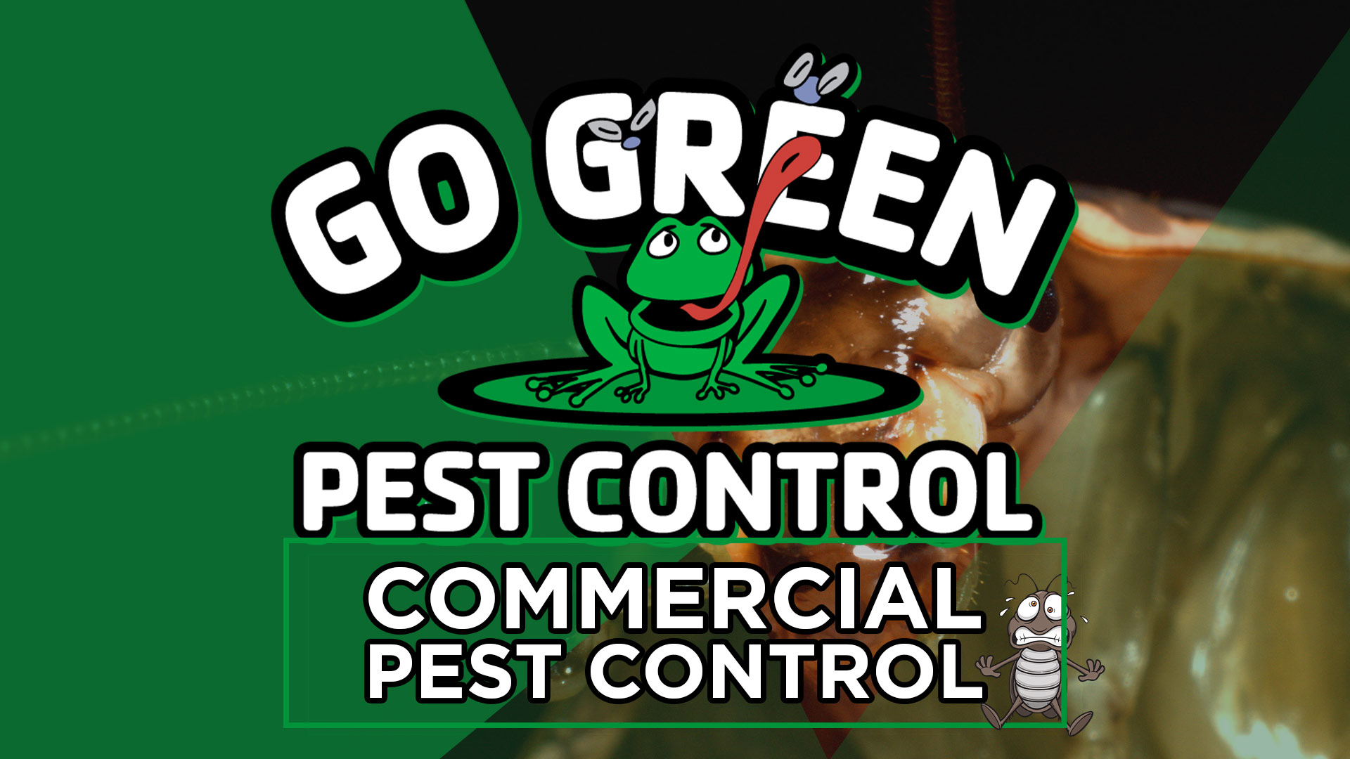 What Is IPM (Integrated Pest Management)? | Go Green Pest Control